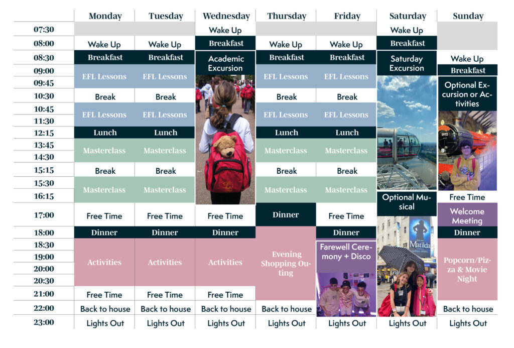 Our programme - LINES